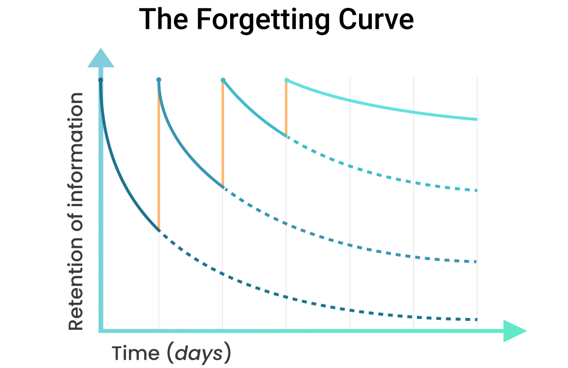 Carousel | Home Page